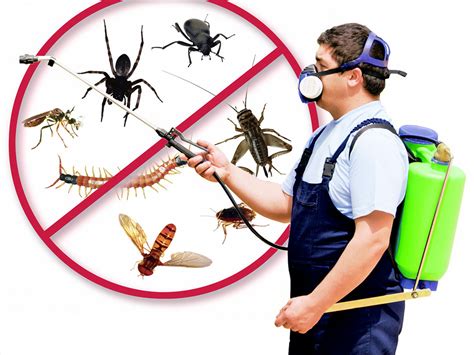 Complete Pest Control Comelli Commercial