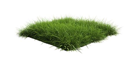 Ai Generated Small Green Grass Lawn Of Square Shape Realistic Natural