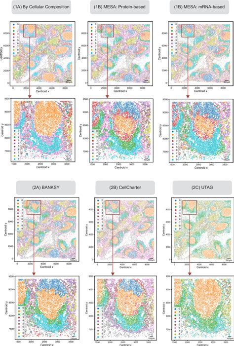 Quantitative Characterization Of Tissue States Using Multiomics And Ecological Spatial Analysis