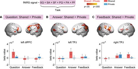 Contrast Effects For Task Glm Which Included The Following