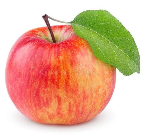 Unnati Patodi On Linkedin Rucha Farms Indian Fruits And Vegetables Suppliers And Exporters