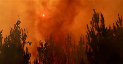 ჩილეში მასშტაბური ხანძრის შედეგად სულ მცირე 23 ადამიანი დაიღუპა 979 დაშავდა ტაბულა