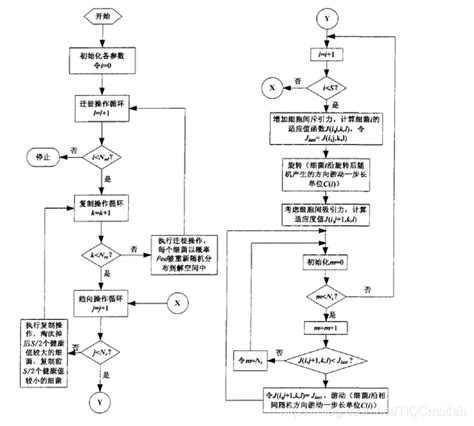 【图像分割】基于matlab改进的细菌觅食算法双阈值图像分割【含matlab源码 069期】菌落matlab Csdn博客