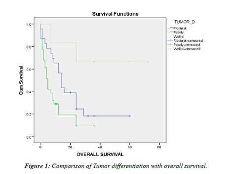 Clinicopathological Spectrum Of Intrahepatic Cholangiocarcinoma With Morphologic Subtyping And