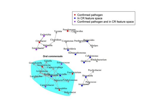 Corrected Microbial Co Occurrence Network For Genera Assigned In Sepsis