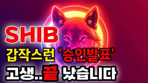 시바이누 코인 갑작스런 승인발표 고생끝 났습니다 시바이누 시바이누코인 파이 비트토렌트 비트코인 코인 도지코인 인기동영상 인기급상승 Youtube