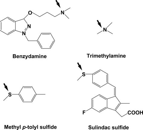 Flavin Containing Monooxygenase Alchetron The Free Social Encyclopedia