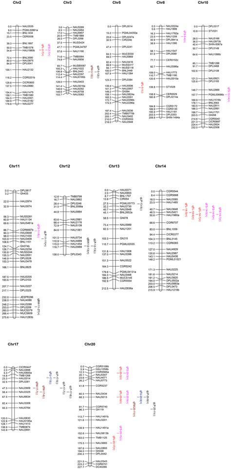 Mapping Of Qtls For Cotton Fiber Quality And Yield Traits On The Download Scientific Diagram