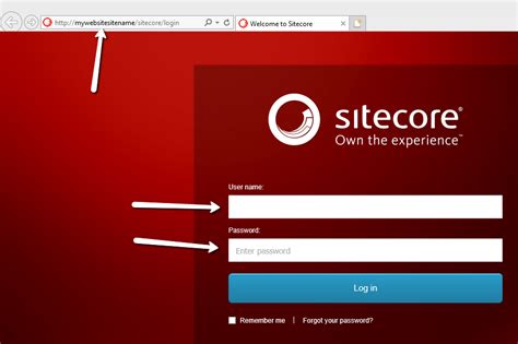 Installing Sitecore Manually Sitecore Beginners Guide