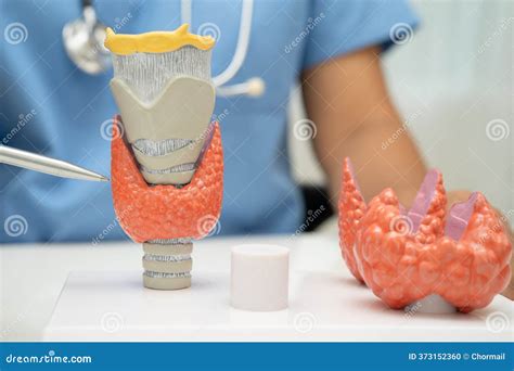Hyperthyroidism Overactive Thyroid Thyroid Lymphoma Asian Doctor