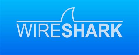capture packets from any website wireshark nyasha meja