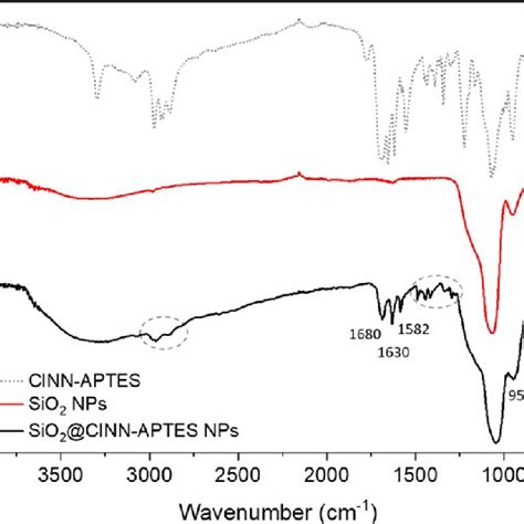 atr ftir normalized spectra of pristine sio 2 nps red solid line