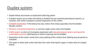 Duplex System Pptx