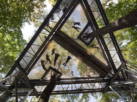 15 Years Up In The Trees And Out On A Limb