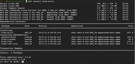 How To Install And Use Dig And Nslookup On Linux