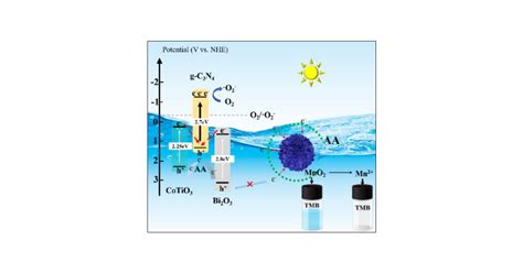Dual Direct Z Scheme Heterojunction With Growing Photoactive Property