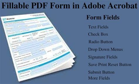 Create Form Fillable In Pdf Adobe Acrobat By Jayakumar Jk Fiverr