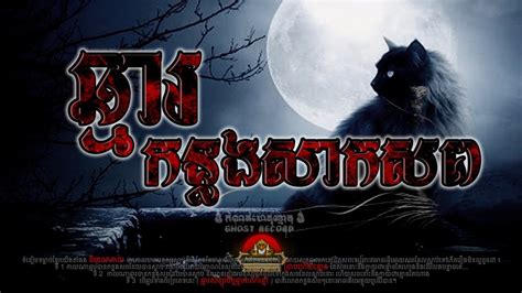 កំណត់ហេតុខ្មោច៚ ឆ្មារកន្លងសព Youtube