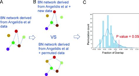 Permutation Analysis Highlights The Agreement Between The Two Aging