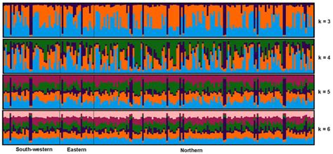 Admixture Bar Plots Representing The Identity Of Individuals Based On Download Scientific