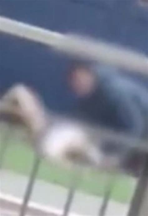 Man And Woman Arrested For Sex Act By Side Of Road In Hull Daily Star