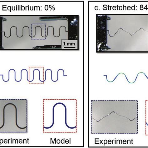 Model And Experimental Comparison Of Anisotropic Effects On Fracture