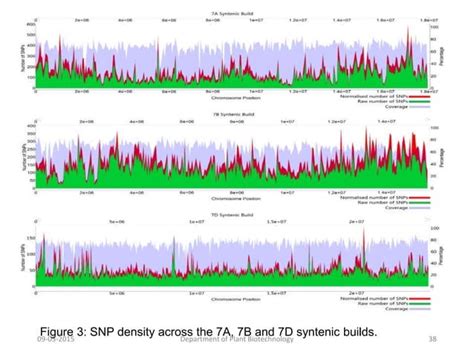 Snp Mining In Crops Pptx