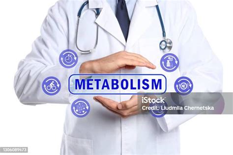 신진 대사 개념 흰색 배경에 청진기를 가진 의사 클로즈업 건강관리와 의술에 대한 스톡 사진 및 기타 이미지 건강관리와 의술