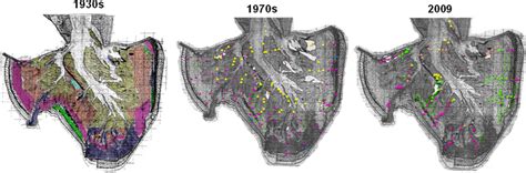 Spatial Distribution Of The Macrofauna Communities In The Jade Bay In