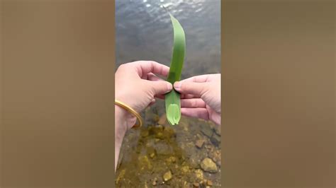 Tip Problemsolvingtools Youtube