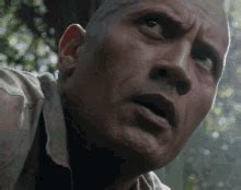 The Rock Eyebrow Raise S Tenor