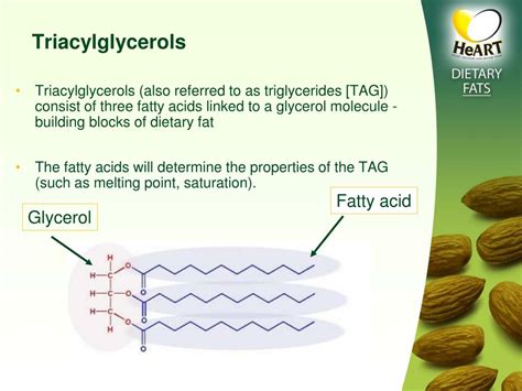 Ppt Dietary Fats Powerpoint Presentation Free Download Id5730225