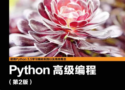 有哪些python进阶、高级编程、适合有3年工作经验的书籍？python高级编程 教材推荐 Csdn博客