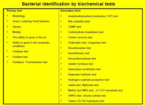 Unknown Bacteria Identification