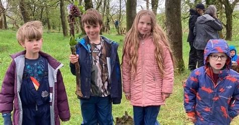 Borgue Primary Pupils Enjoy The Great Outdoors With Forest Schools Daily Record