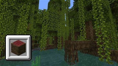What Are The Uses Of Mangrove Roots In Minecrafts 1 19 Update