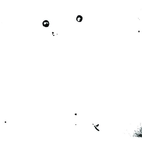 Binarization Of Cell Images Without Removing The Dark Corners Download Scientific Diagram