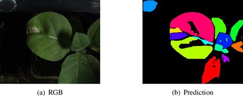 Figure 1 From Deep Leaf Segmentation Using Synthetic Data Semantic Scholar