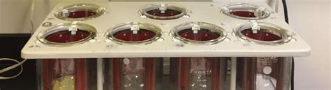 Real Time Release Testing For Dissolution Has Arrived IPS