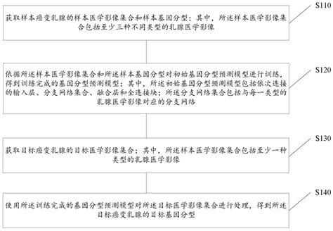 一种基于深度学习的乳腺癌基因分型预测方法及装置与流程