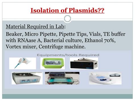 Isolation Of Plasmid Isolation Of Plasmidspptx Ppt