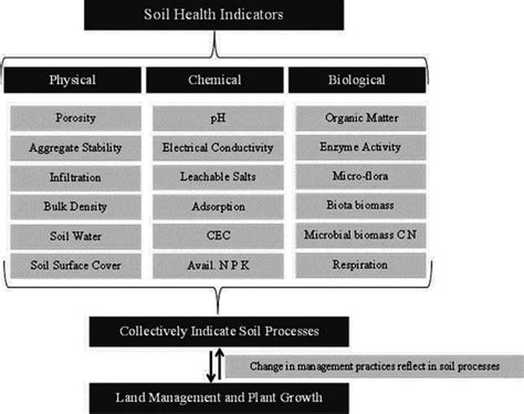 Some Of The Basic Soil Properties As Soil Health Indicators And Their