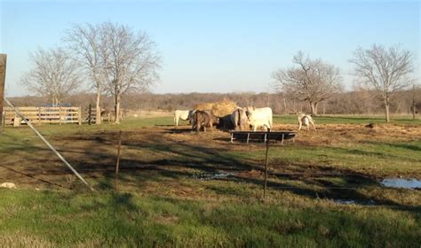 M A SOPMOD Block II Clone Picture Thread AR Discussions AR COM