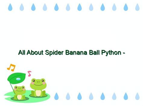All About Spider Banana Ball Python Characteristics Care And