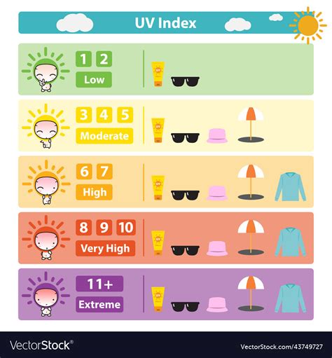 Infographic Of Uv Index Guideline To Protection Vector Image