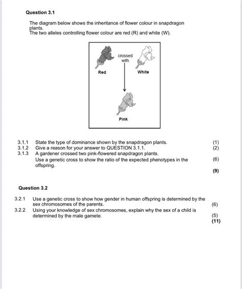 Question 31the Diagram Below Shows The Inheritance Of Flower Colour In