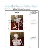 Joints And Body Movements LAB Pdf Joints And Body Movements Lab Report Assistant Exercise