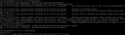 github vottri database backup