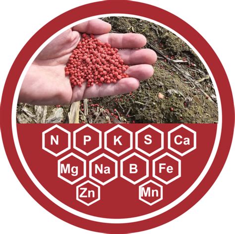 Mineral Fertilizer Polyhalite Complex® Goudenkorrel Mineral Fertilisers