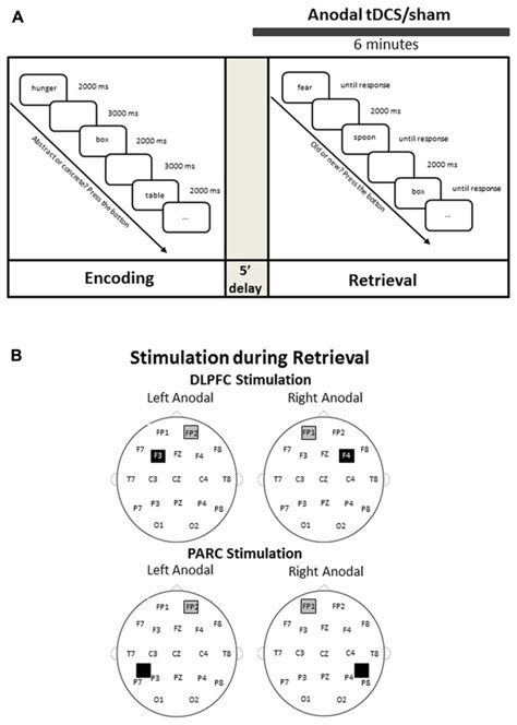 A Experimental Design An Encoding Phase Was Followed By A Retrieval Download Scientific